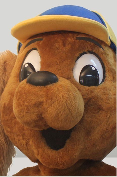 MASKOT | Export Mascots