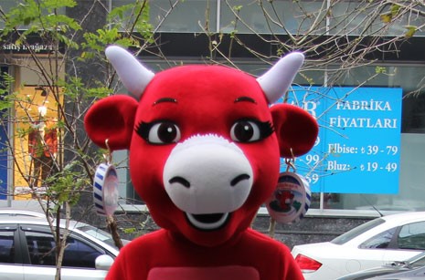 MASKOT | Animals