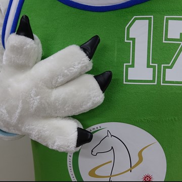 MASKOT | TÜRKMENİSTAN AŞGABAT OLİMPİYATLARI