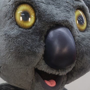 MASKOT | GRAY KOALA