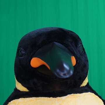 MASKOT | ROCKET PENGUIN