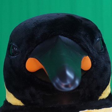 MASKOT | ROCKET PENGUIN