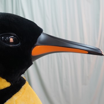 MASKOT | ROCKET PENGUIN