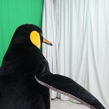 MASKOT | ROCKET PENGUIN