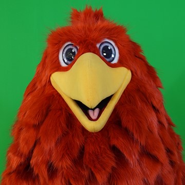 MASKOT | RED EAGLE