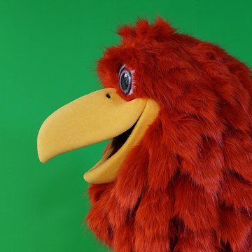 MASKOT | RED EAGLE